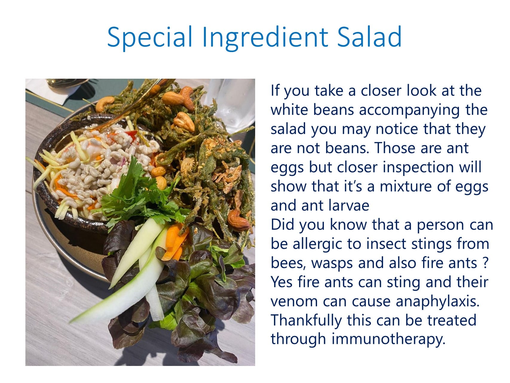 A Special Salad with Insects, Insect Allergy? - Dr Kent Woo