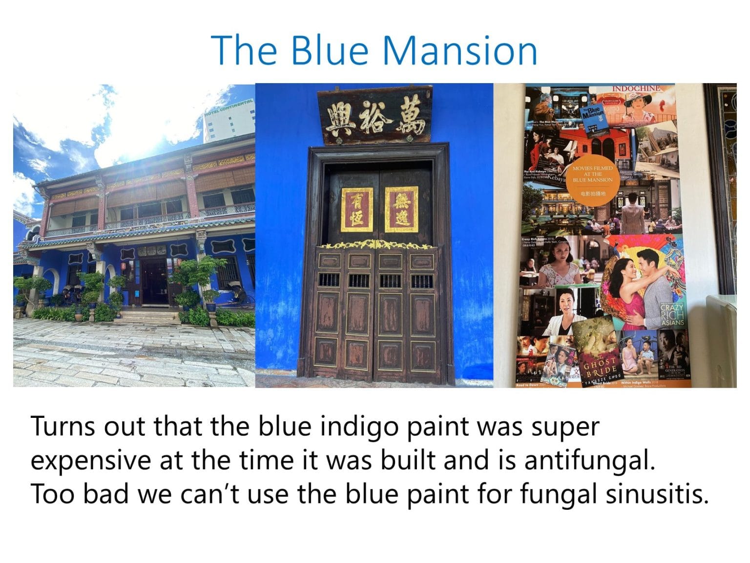 Blue Mansion is Antifungal - Dr Kent Woo
