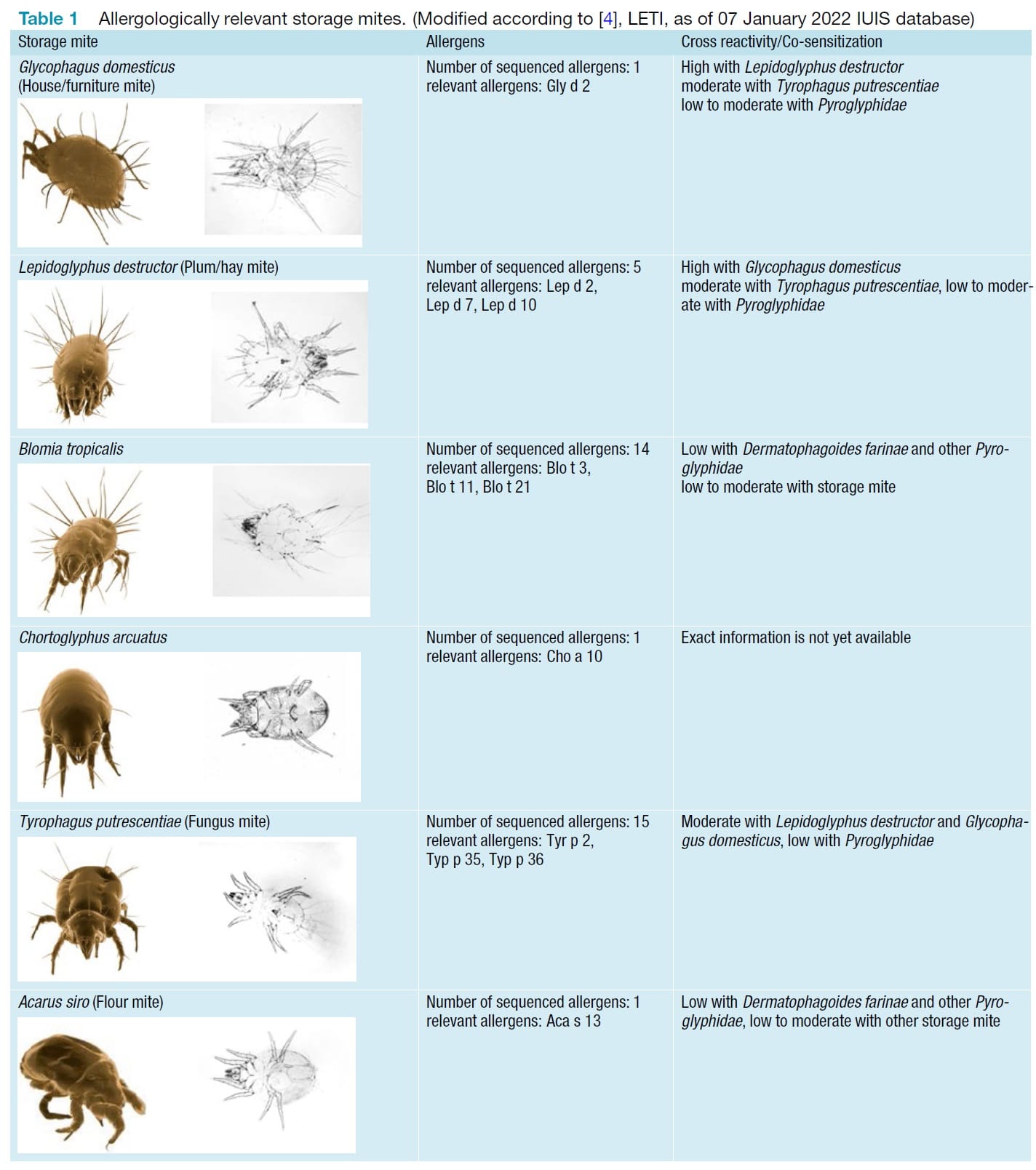 Can Dust Mite Allergy Lead to Sugar Allergy? The Surprising Link to GOS