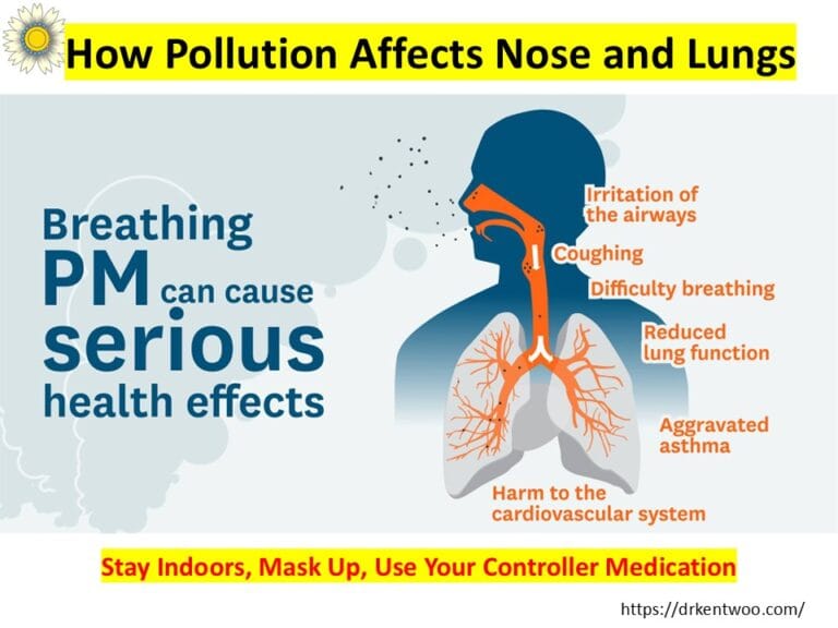 Haze & Pollution in Malaysia: Protect Your Lungs, Skin & Heart - Dr ...