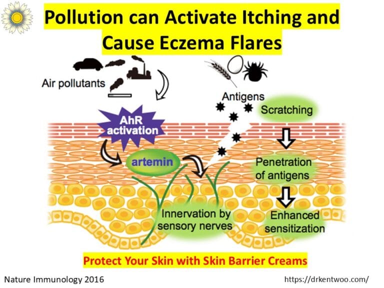 Haze & Pollution in Malaysia: Protect Your Lungs, Skin & Heart - Dr ...